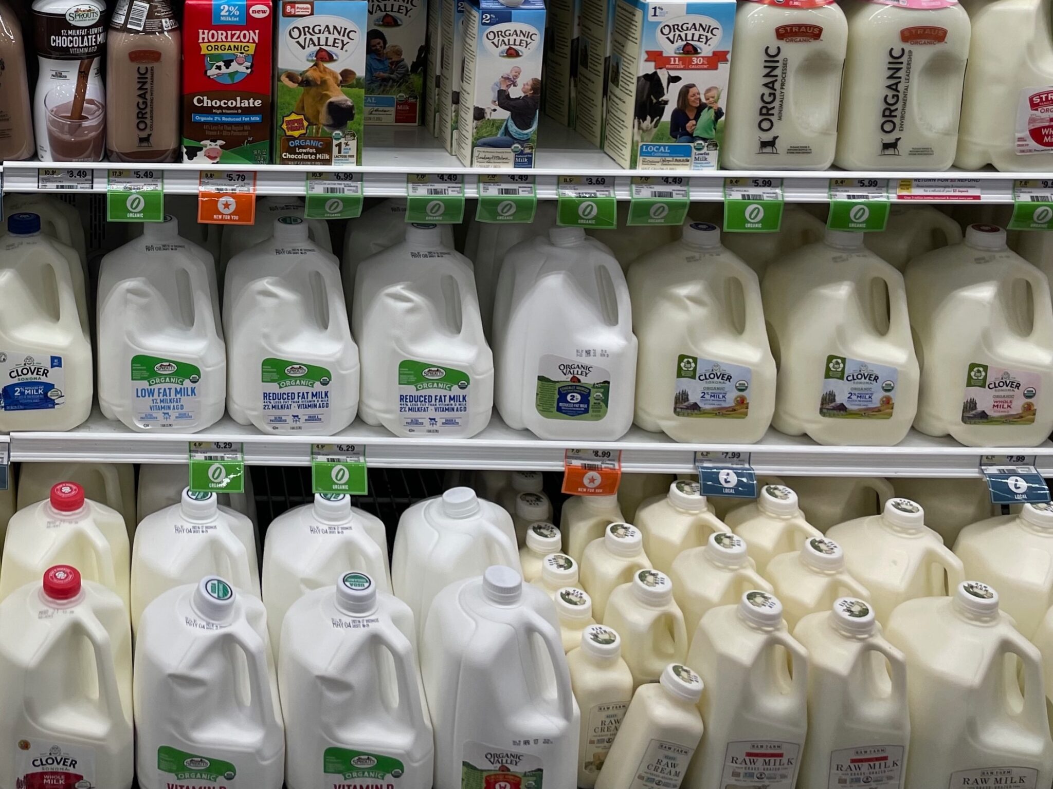 地域創生医 桐村里紗のプラネタリーヘルス 第6回 ホエイプロテインの環境負荷とプラネタリーヘルス - Hoitto! ヘルスケアビジネス（ほいっとヘルスケアビジネス、運営：ヘルスケアワークスデザイン）