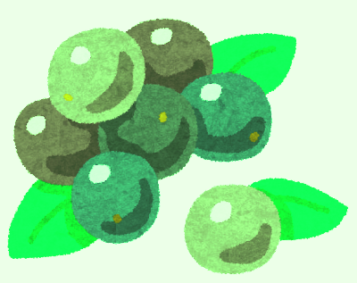 【Hoitto!s EYE】羅漢果はモンクフルーツ？それともドクターフルーツ？ - Hoitto! ヘルスケアビジネス（ほいっとヘルスケアビジネス、運営：ヘルスケアワークスデザイン）