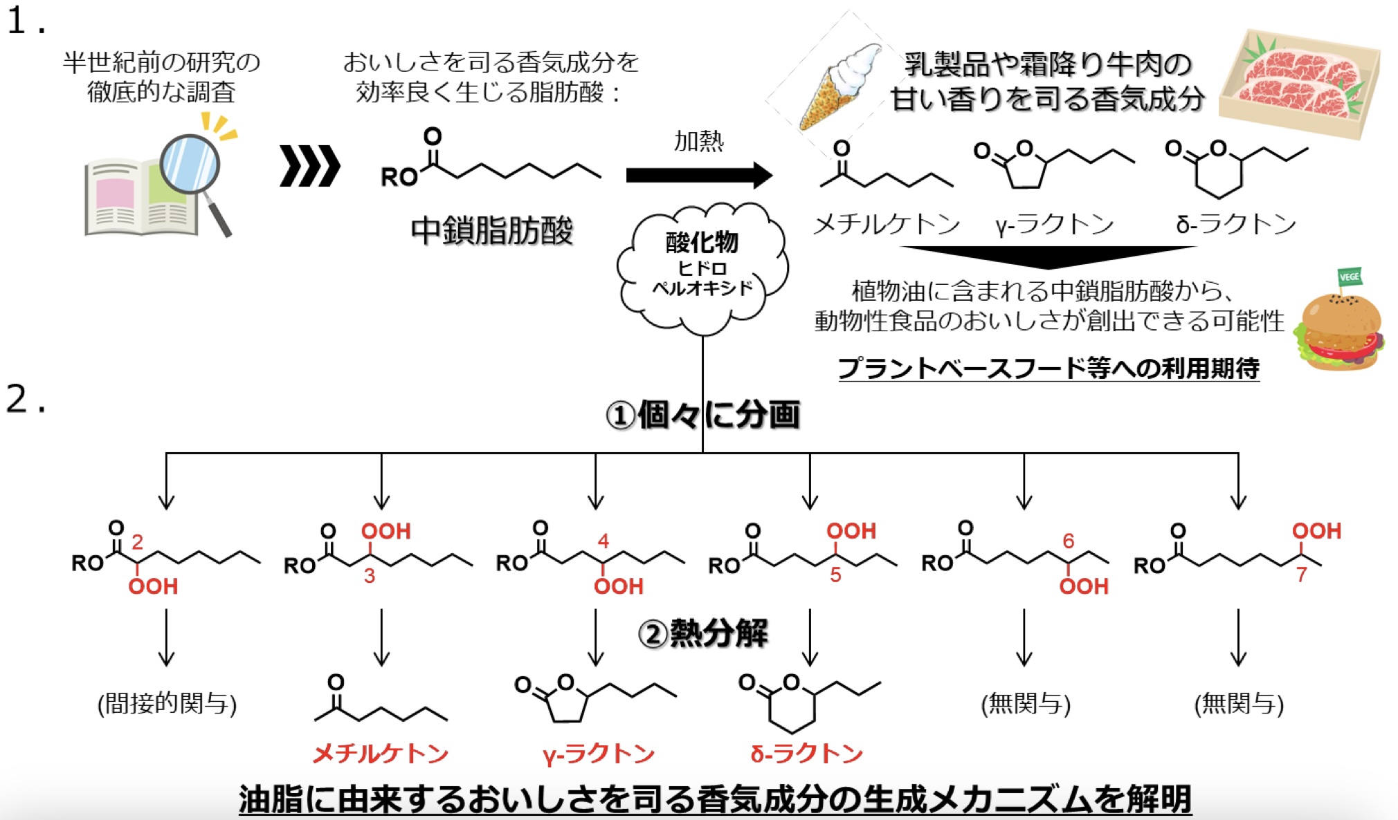 油脂由来「おいしさ」司る香気成分生成メカニズム解明 - Hoitto! ヘルスケアビジネス（ほいっとヘルスケアビジネス、運営：ヘルスケアワークスデザイン）