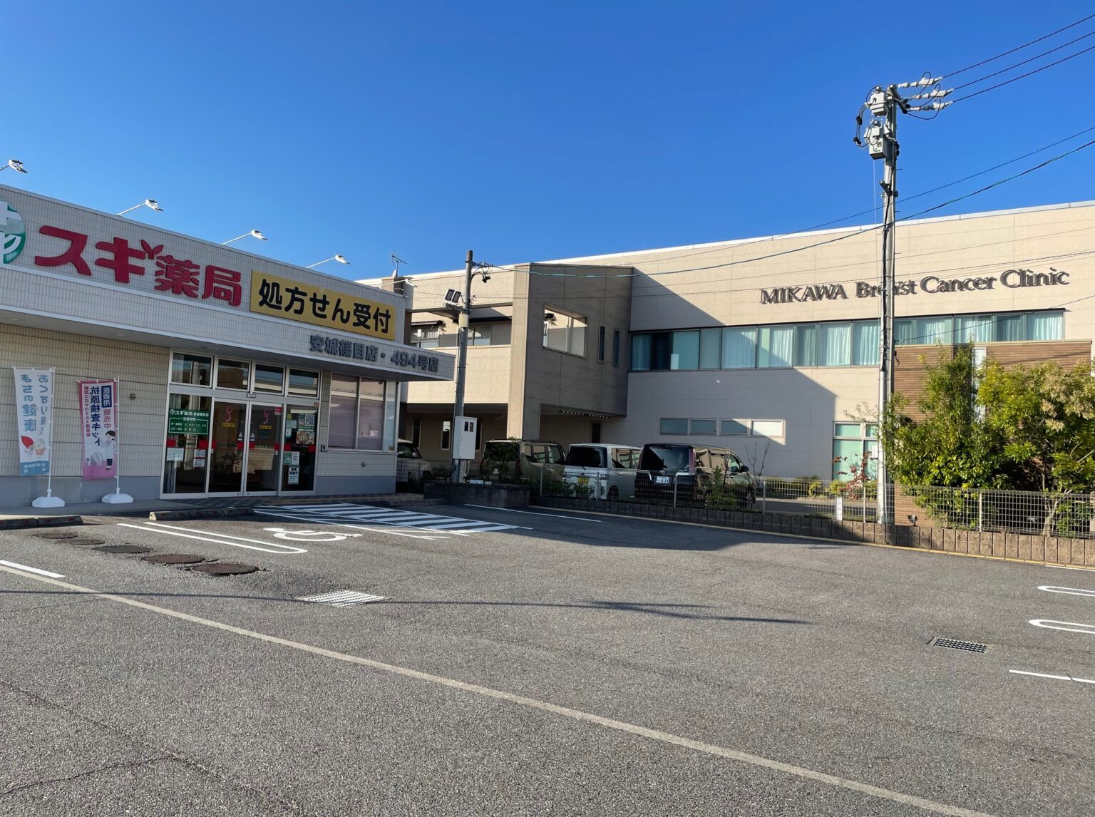 スギHD取締役副社長の杉浦伸哉さん＜その2＞進化から真価へドラッグストアストーリー⑧ - Hoitto! ヘルスケアビジネス（ほいっとヘルスケアビジネス、運営：ヘルスケアワークスデザイン）