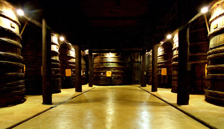 蔵華乳酸菌LTK-1を展開するイチビキの中村光一郎社長に聞く - Hoitto! ヘルスケアビジネス（ほいっとヘルスケアビジネス、運営：ヘルスケアワークスデザイン）