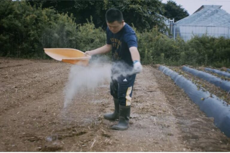 帝人ソレイユ、胡蝶蘭の回収・再利用サービス開始 - Hoitto! ヘルスケアビジネス（ほいっとヘルスケアビジネス、運営：ヘルスケアワークスデザイン）